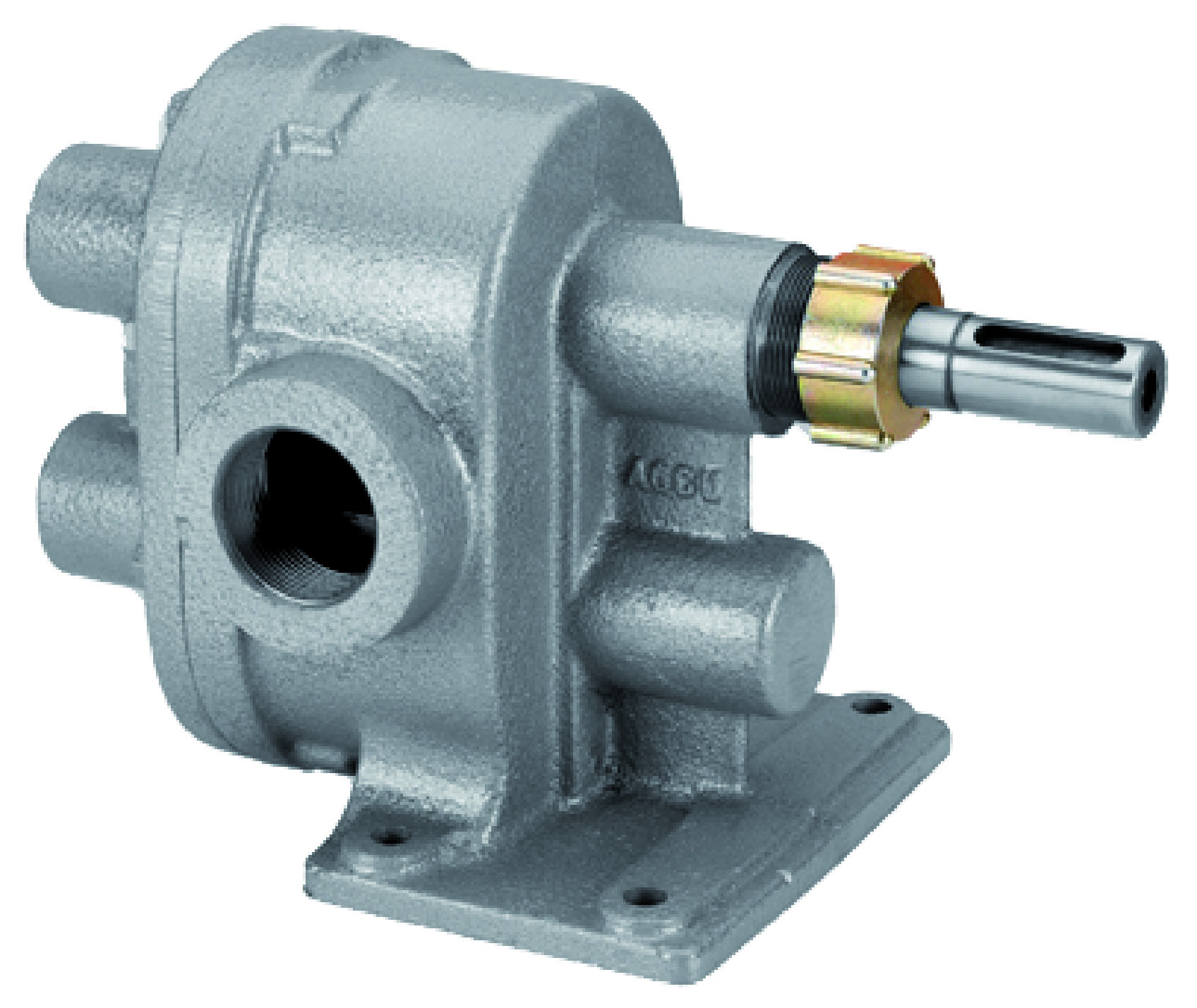 BOMBAS DE ENGRANAJES EN EJE LIBRE AIG PUMPS A | Aiguapres - Bombas de Agua